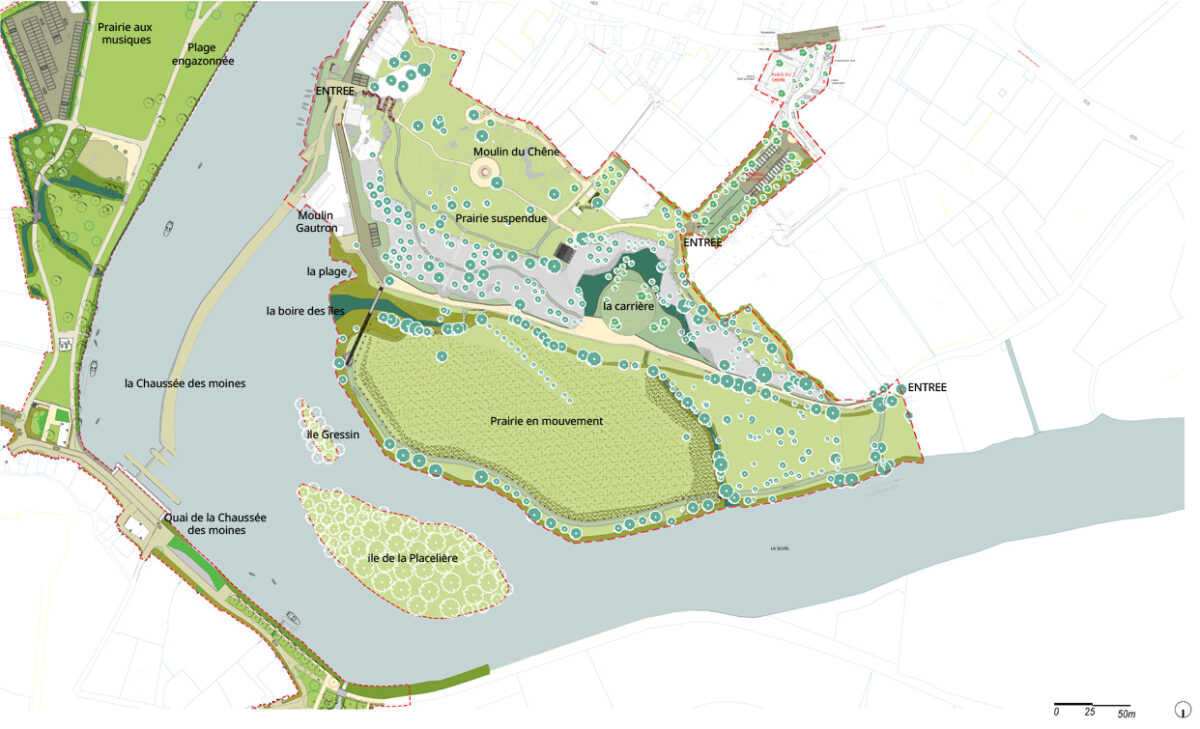 phytolab_Vertou-parc-du-chene-plan-masse - phytolab